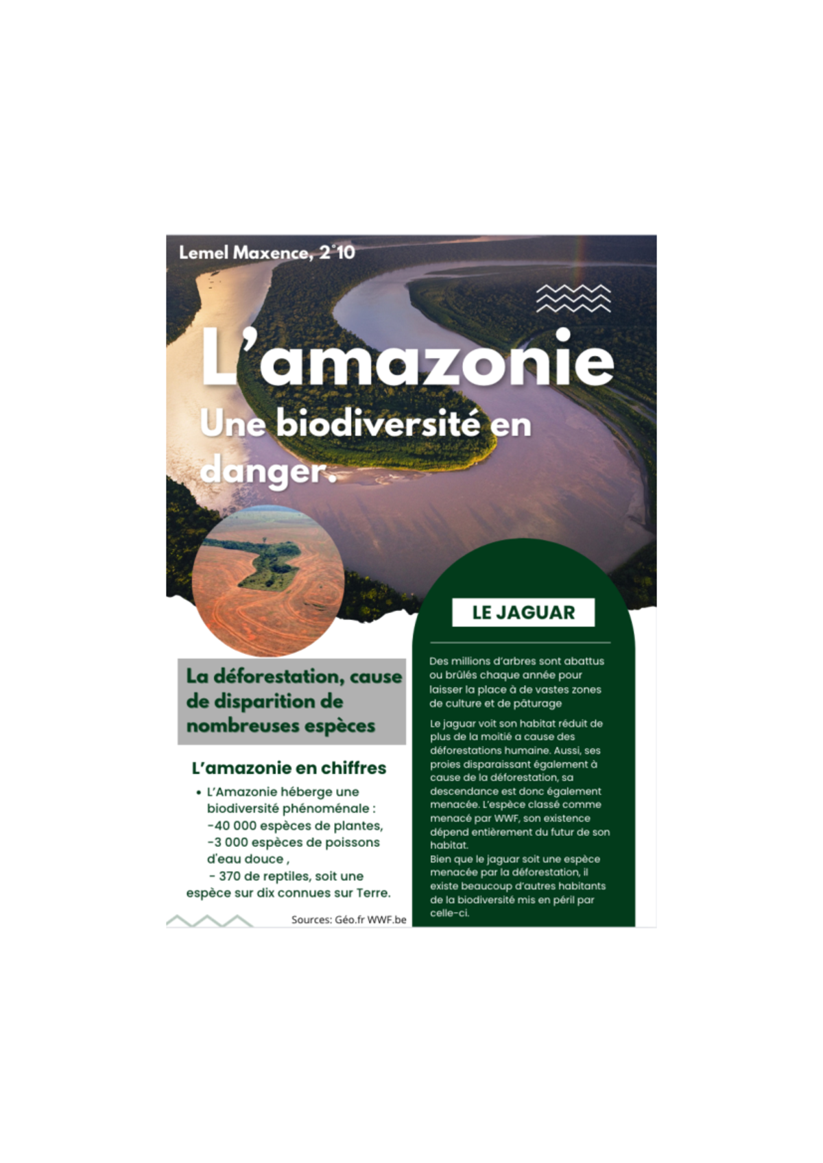SVT Affiche Biodiversité - Sciences de la vie et de la Terre - Studocu