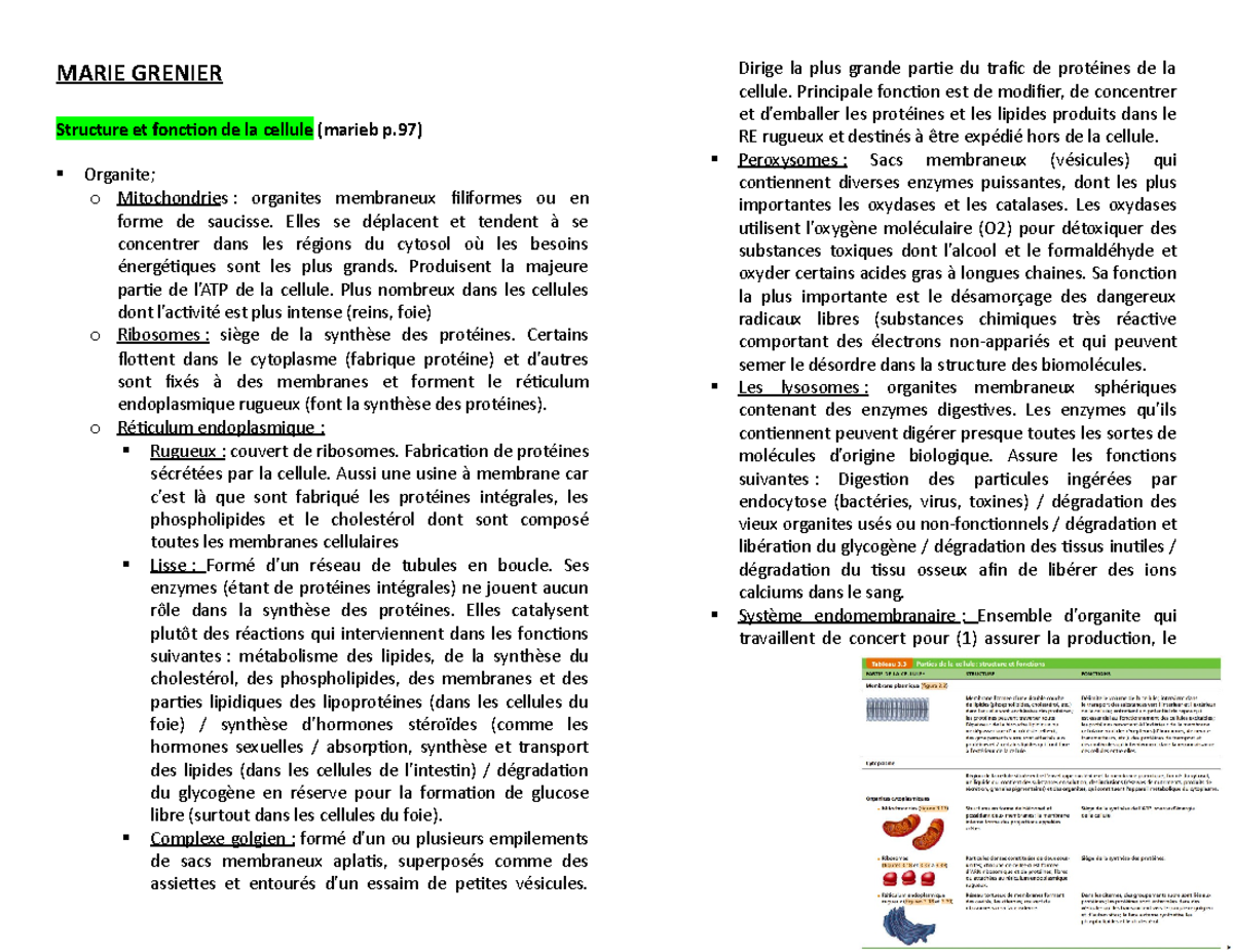 Marie- Grenier - App 2 - MARIE GRENIER Structure et fonction de la ...