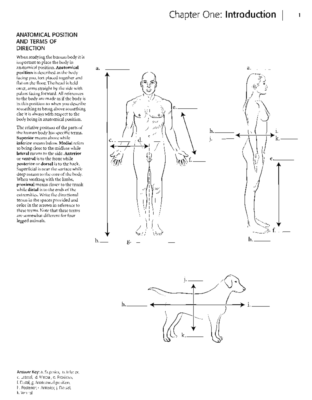 Kaplan-Laboratory-Manual - Chapter One: Introduction ANATOMICAL ...