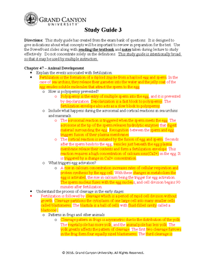 Windows Server: Basic Commands - 24 JAN 2024 ITT- Week 3 Assignment ...