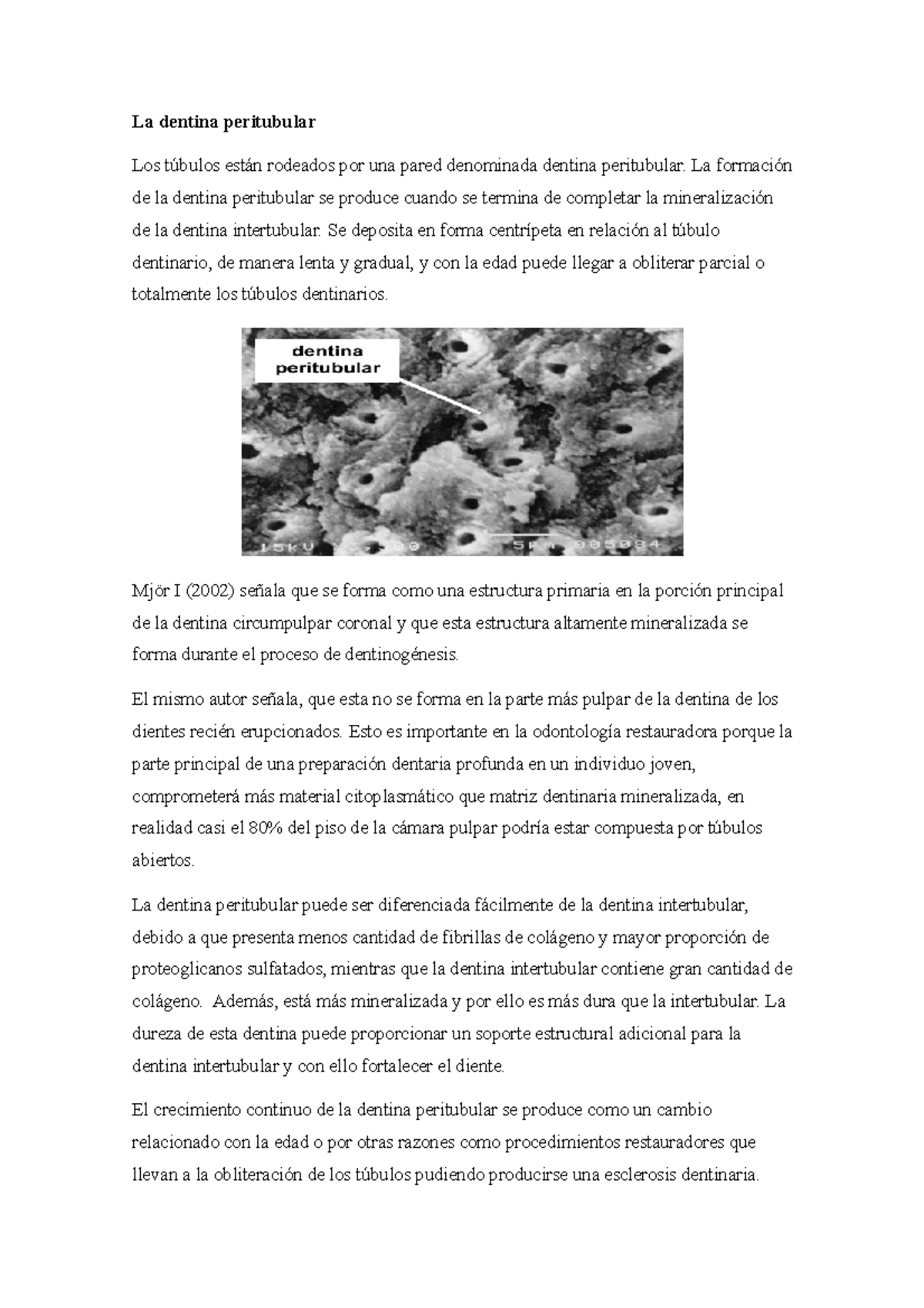 La dentina peritubular - La formación de la dentina peritubular se produce cuando se termina de ...