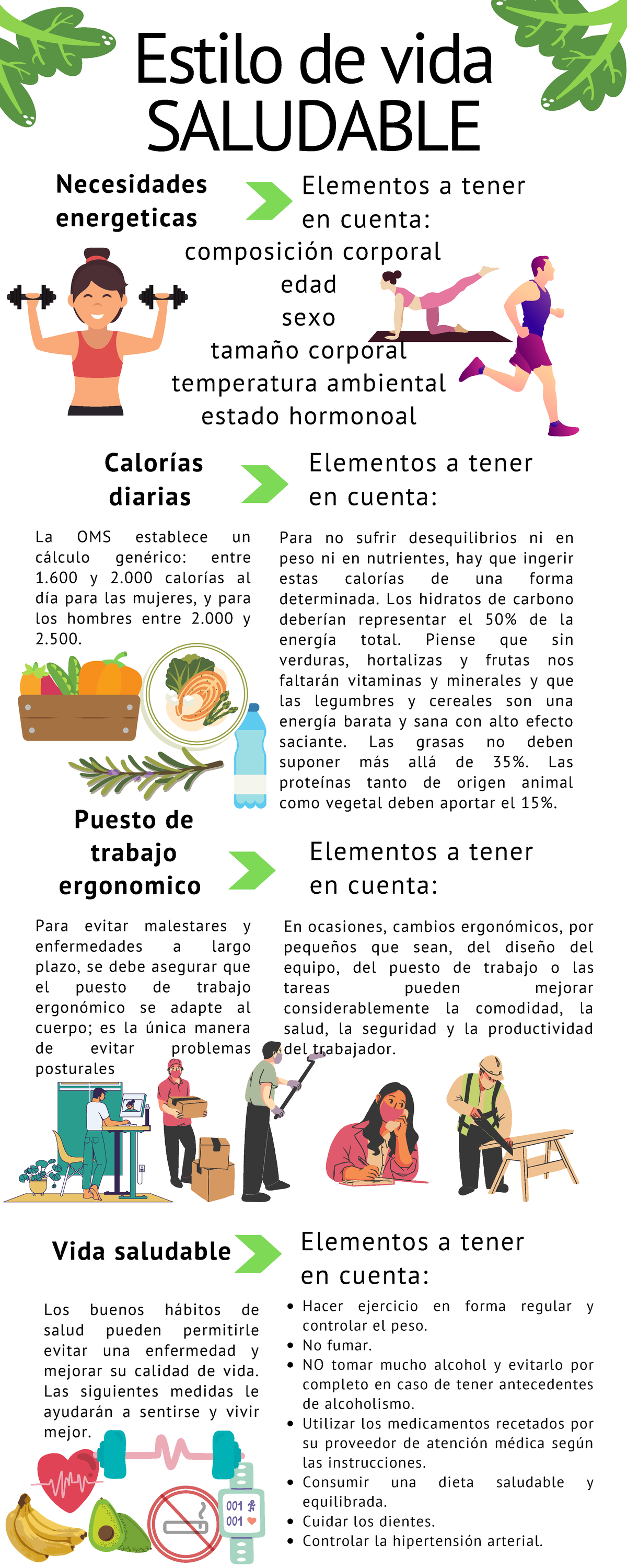 Estilo DE VIDA Saludable - Estilo de vida SALUDABLE Necesidades energeticas La OMS establece un ...