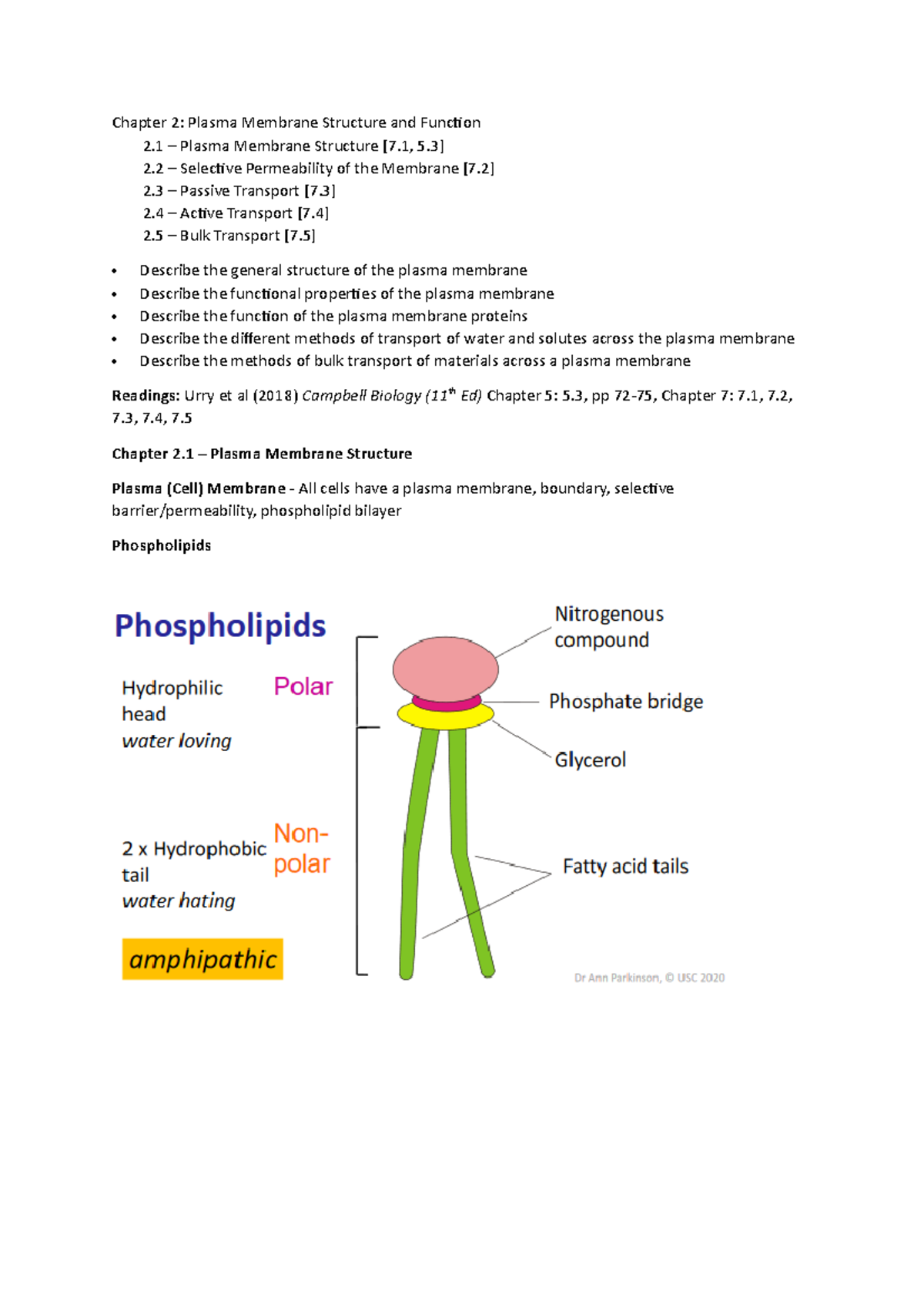 LFS100 CH2 - Lecture notes 2 - Chapter 2: Plasma Membrane Structure and ...