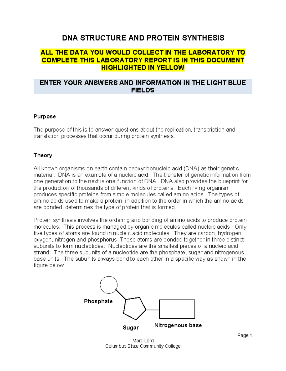 DNA Structure Protein Synthesis Data Form - Page 1 Marc Lord DNA ...