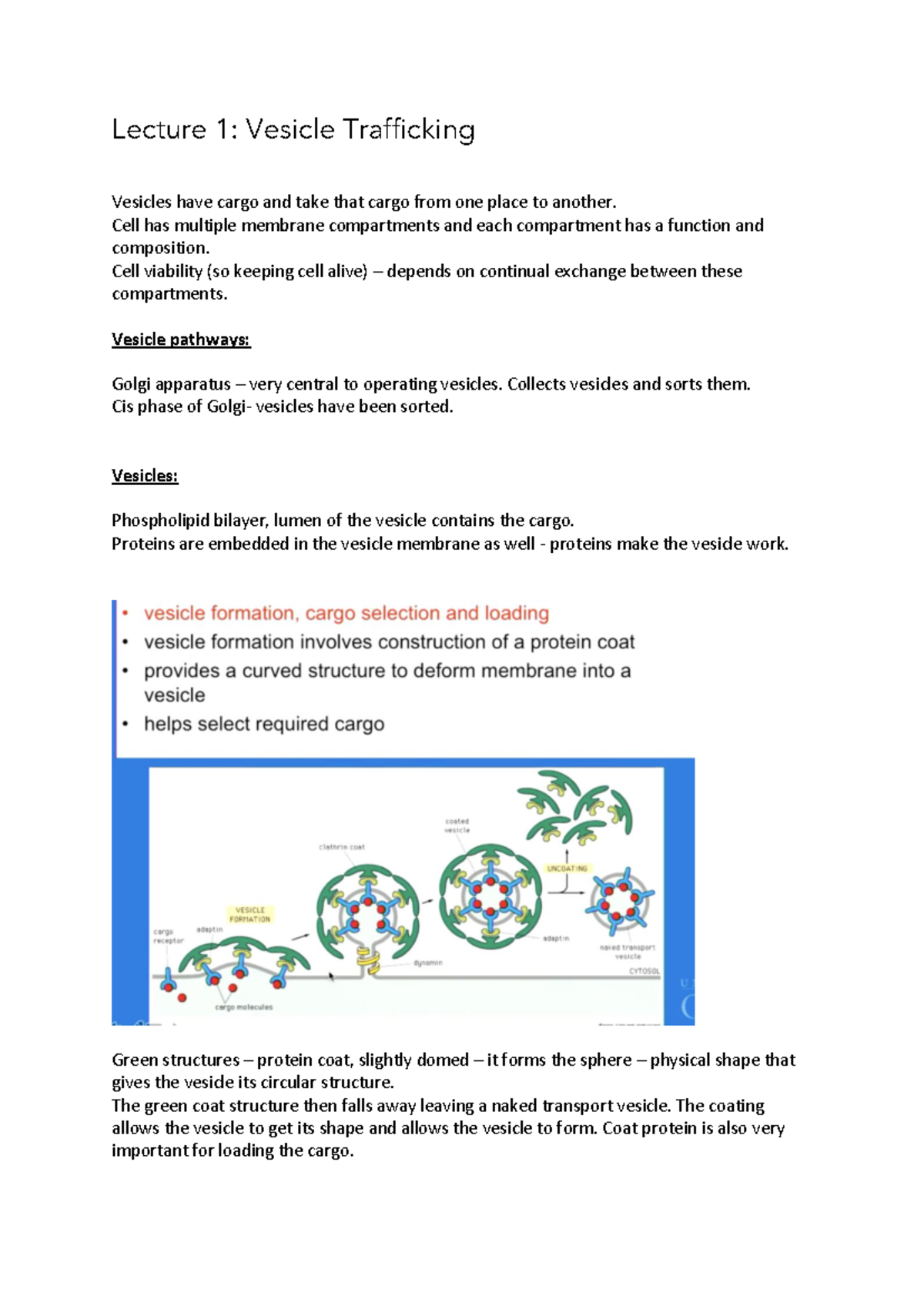Lecture 1 Module 1 - Lecture 1: Vesicle Trafficking Vesicles have cargo ...
