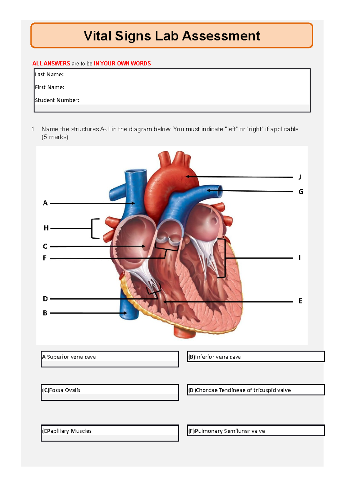 Lab 3 - anatomy and physiology for health professionals lab notes - ALL ...