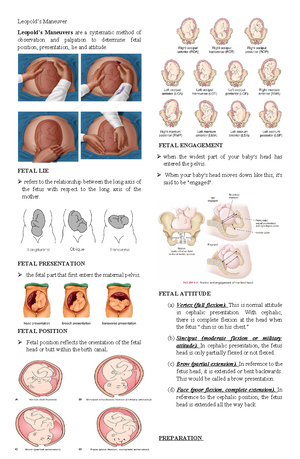 Maternal and child nursing - Fundal Height Measurement It is a ...