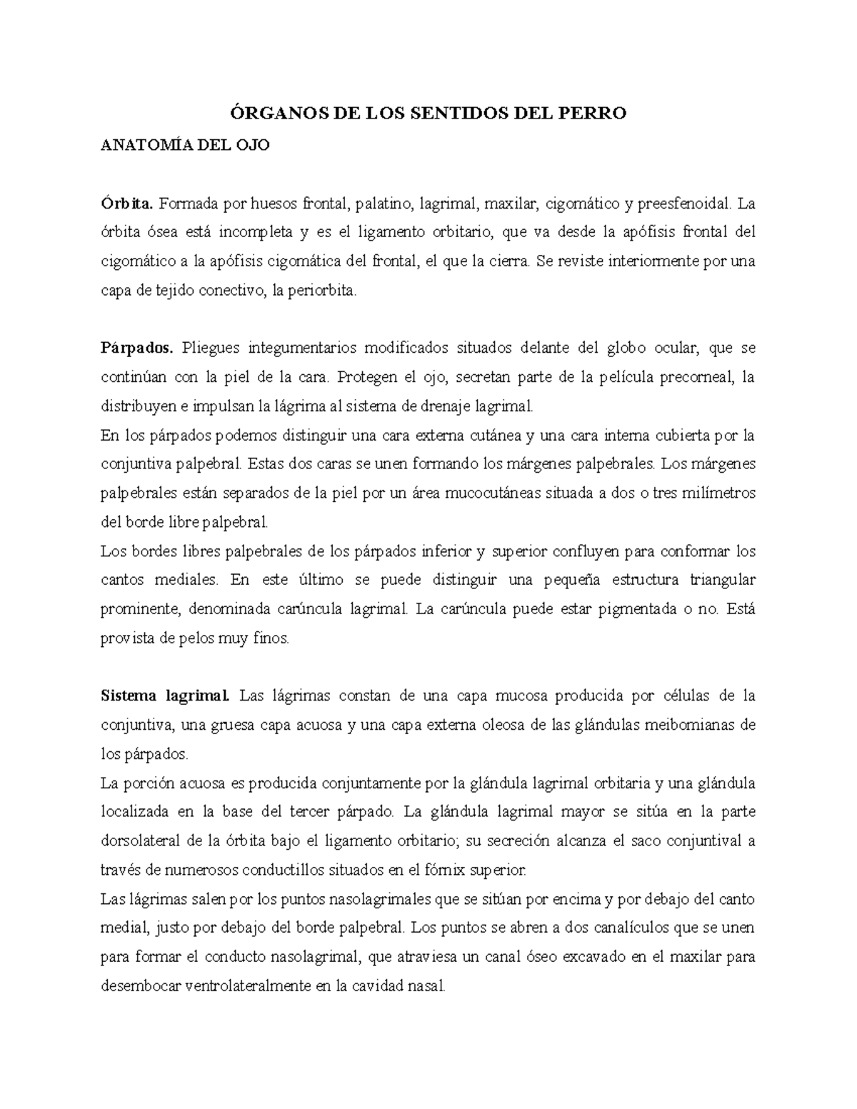 Órganos de los sentidos - ÓRGANOS DE LOS SENTIDOS DEL PERRO ANATOMÍA ...