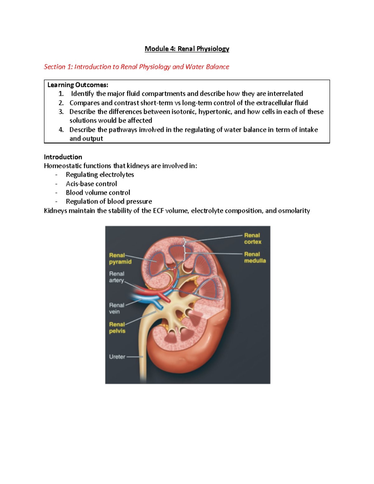 PHGY 216 Module 4 - Module 4: Renal Physiology Section 1: Introduction ...