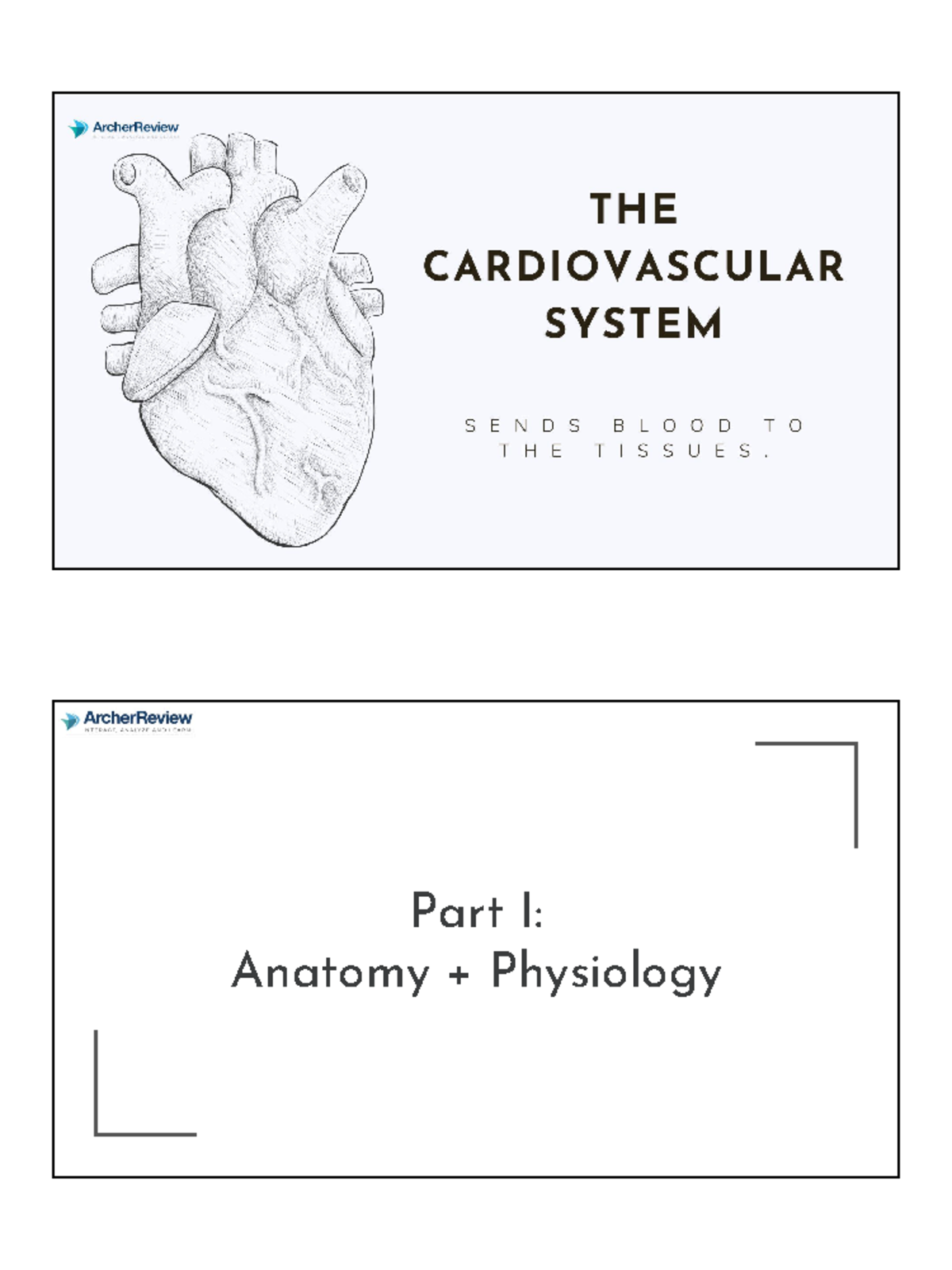 Fa1ca2b0 eaeb 4149 a4e4 6690ef3ae605 - Cardiac Part I: Anatomy ...