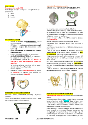 Tercera línea de defensa - Clase 3: respuesta inmune adaptativa o ...