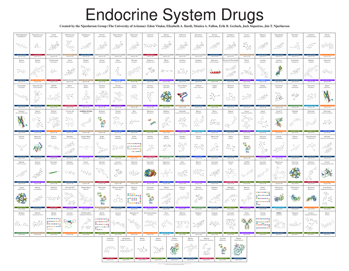 Endocrine System Drugs 3 - Endocrine System Drugs Created by the ...