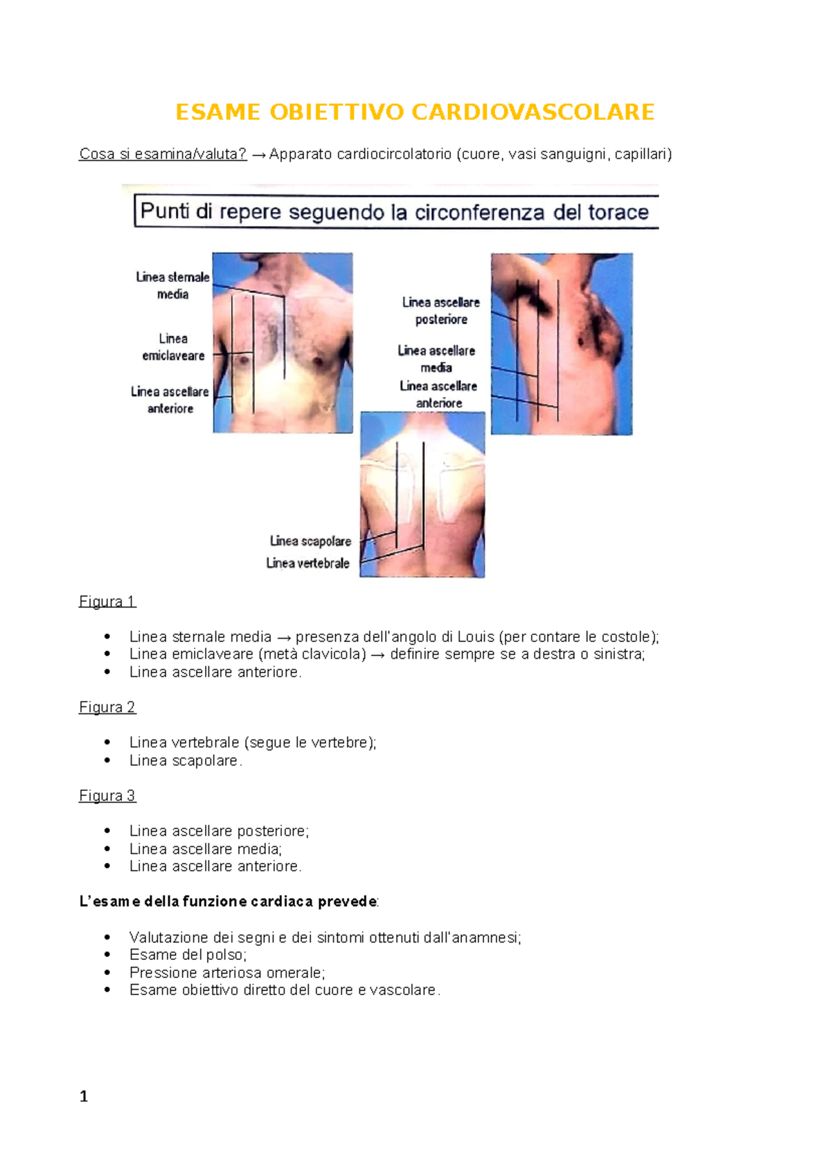 Esame obiettivo cardiovascolare - ESAME OBIETTIVO CARDIOVASCOLARE Cosa ...