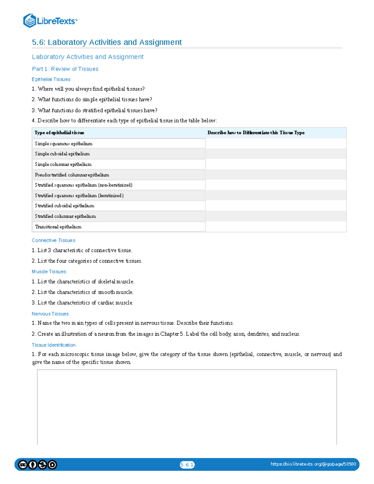 Lab 4- Tissues - ... - 5: Laboratory Activities and Assignment ...