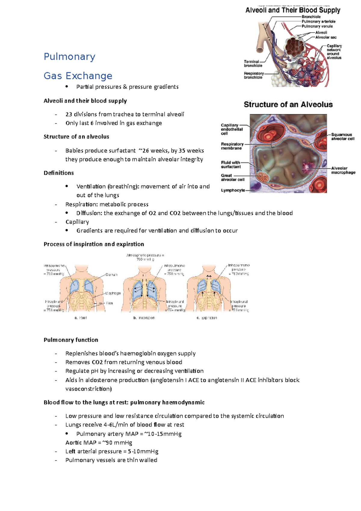 KIN 320 Pulmonary Gas Exchange - Pulmonary Gas Exchange Partial ...