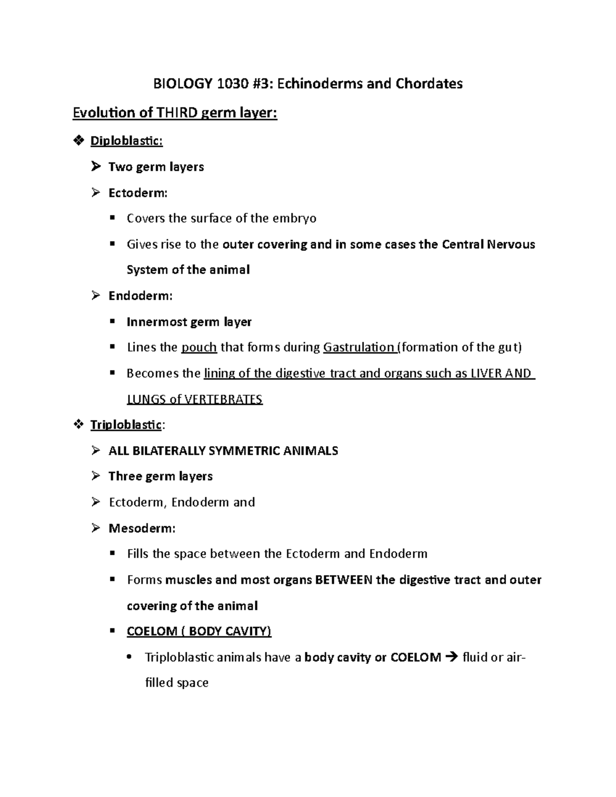 Biology 1030 #3 Echinoderms and Chordates - BIOLOGY 1030 #3 ...