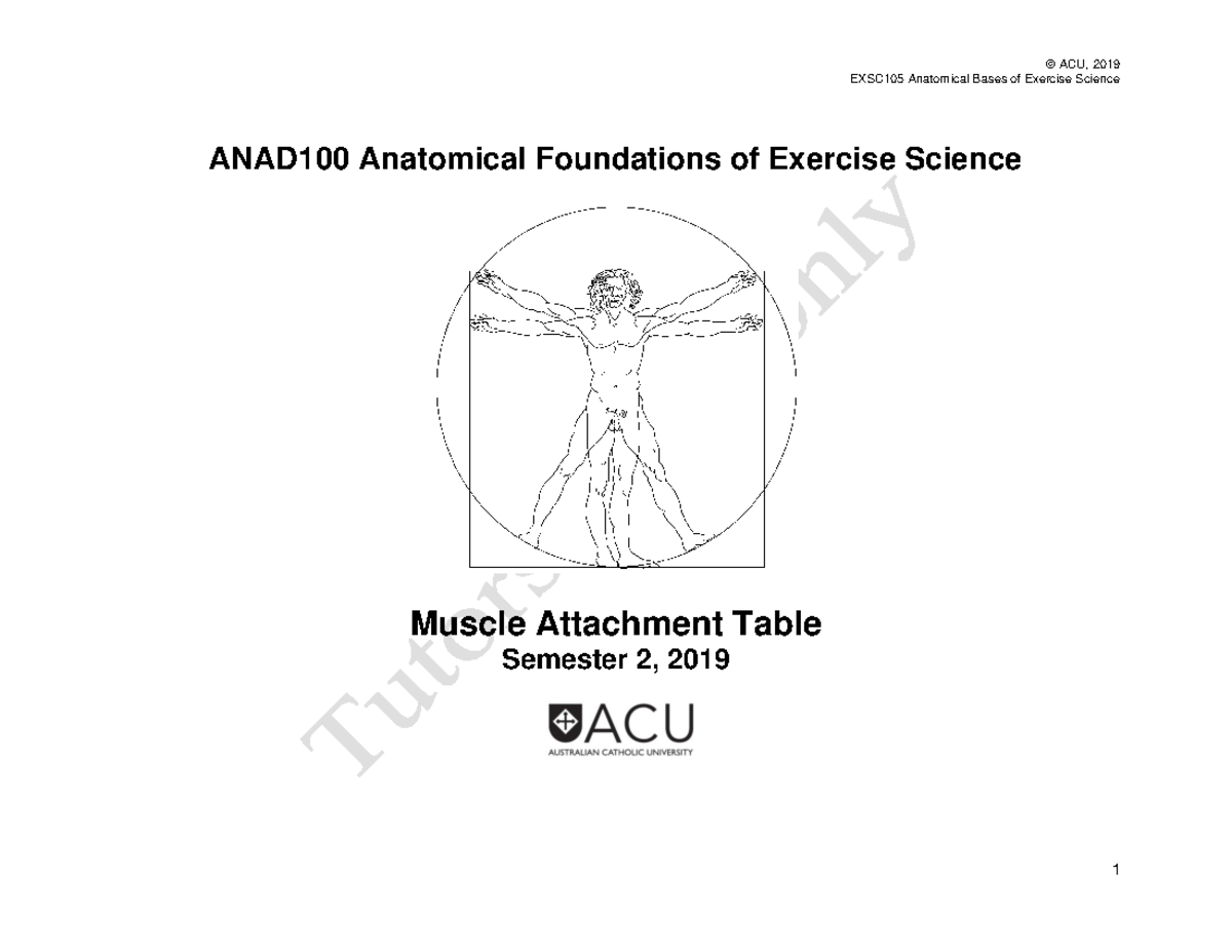 ANAD100 LL Trunk Attachment table - © ACU, 2019 EXSC105 Anatomical ...