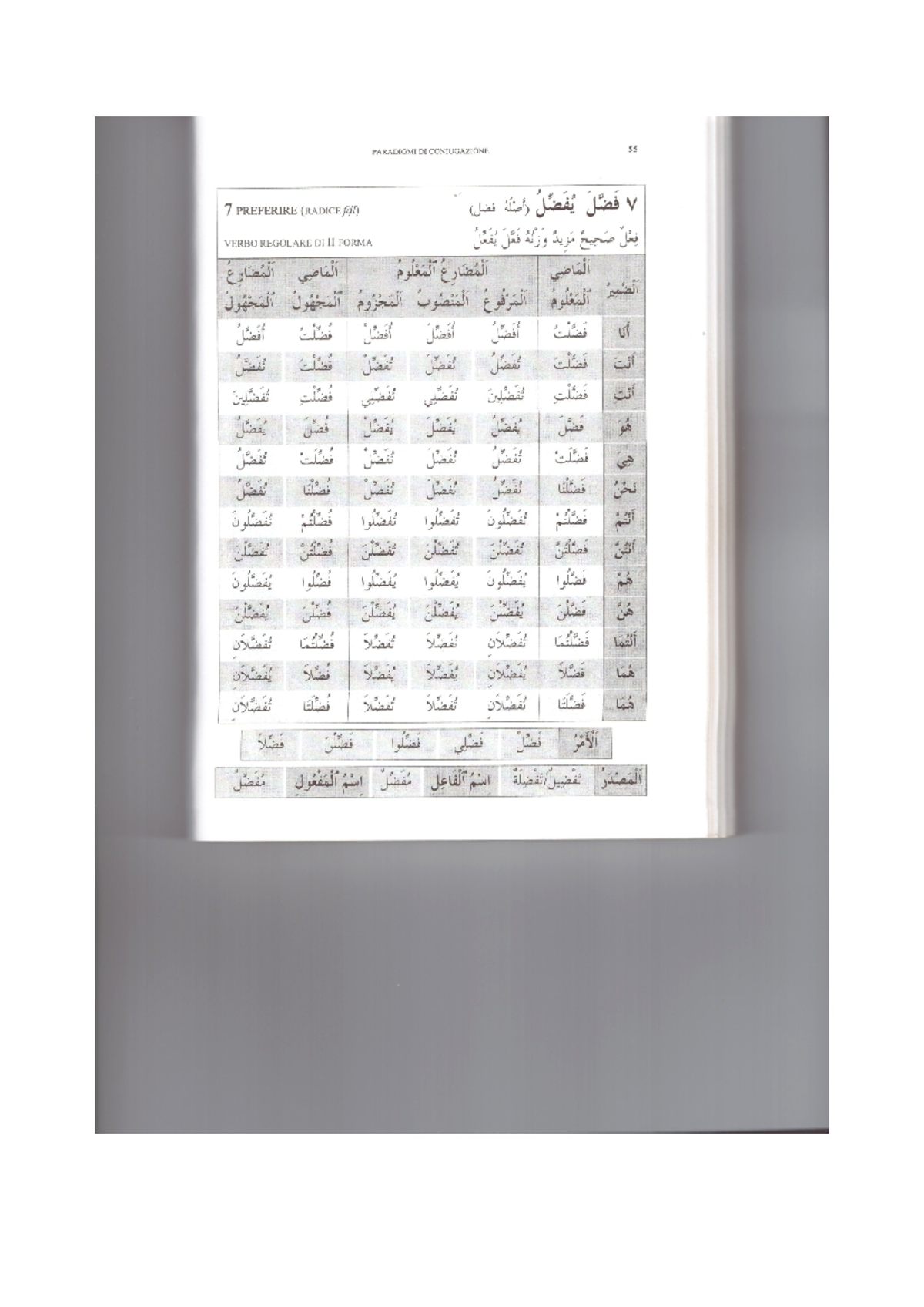 Paradigmi di coniugazione - PARADIGMI DI CONIUGAZIONE 55 7 PREFERIRE ...