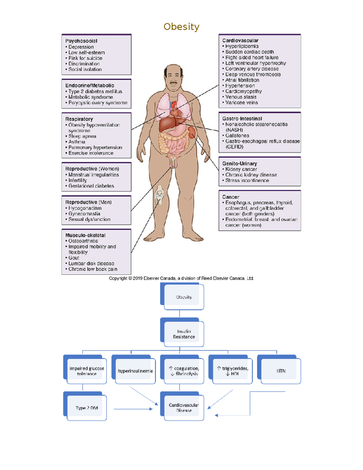 Obesity Study Map - Lecture notes 1 - Obesity Risk Factors (modifiable ...