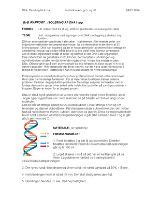 DNA og DNA replikation - Hvad hedder byggestenene i DNA og hvad består ...