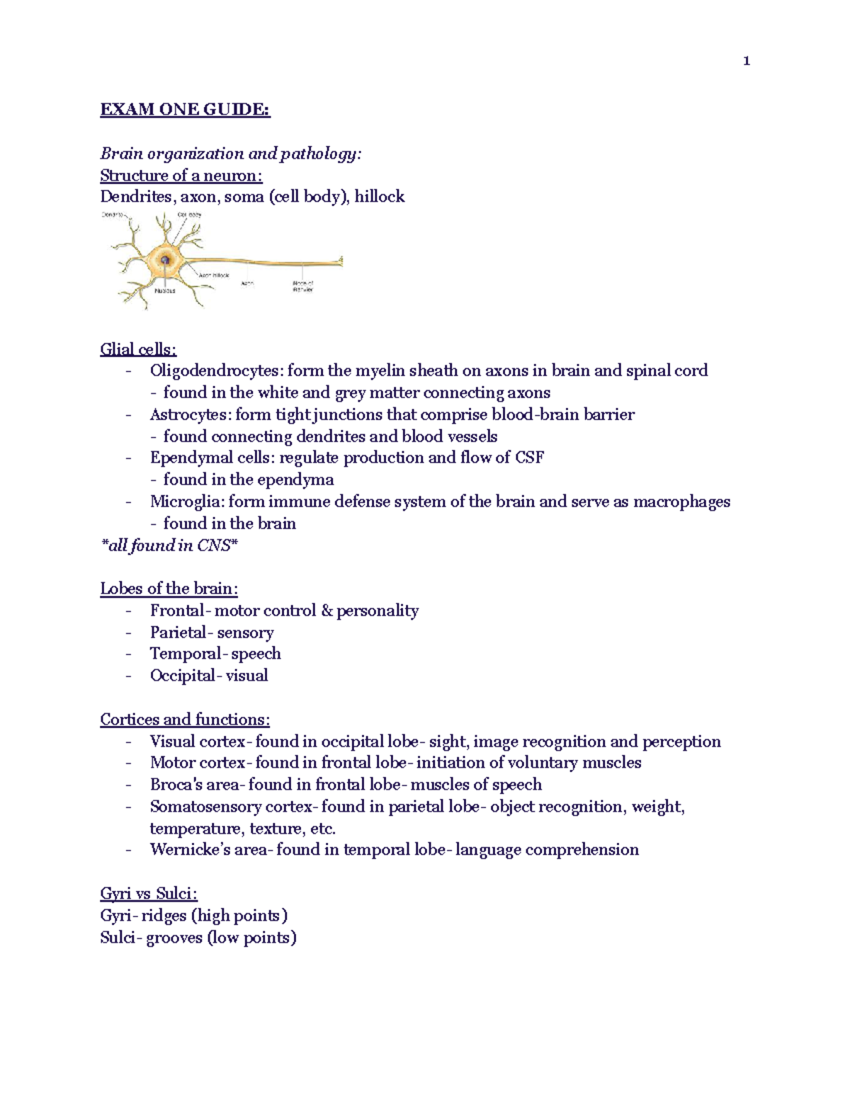 IONM exam 1 notes - EXAM ONE GUIDE: Brain organization and pathology ...