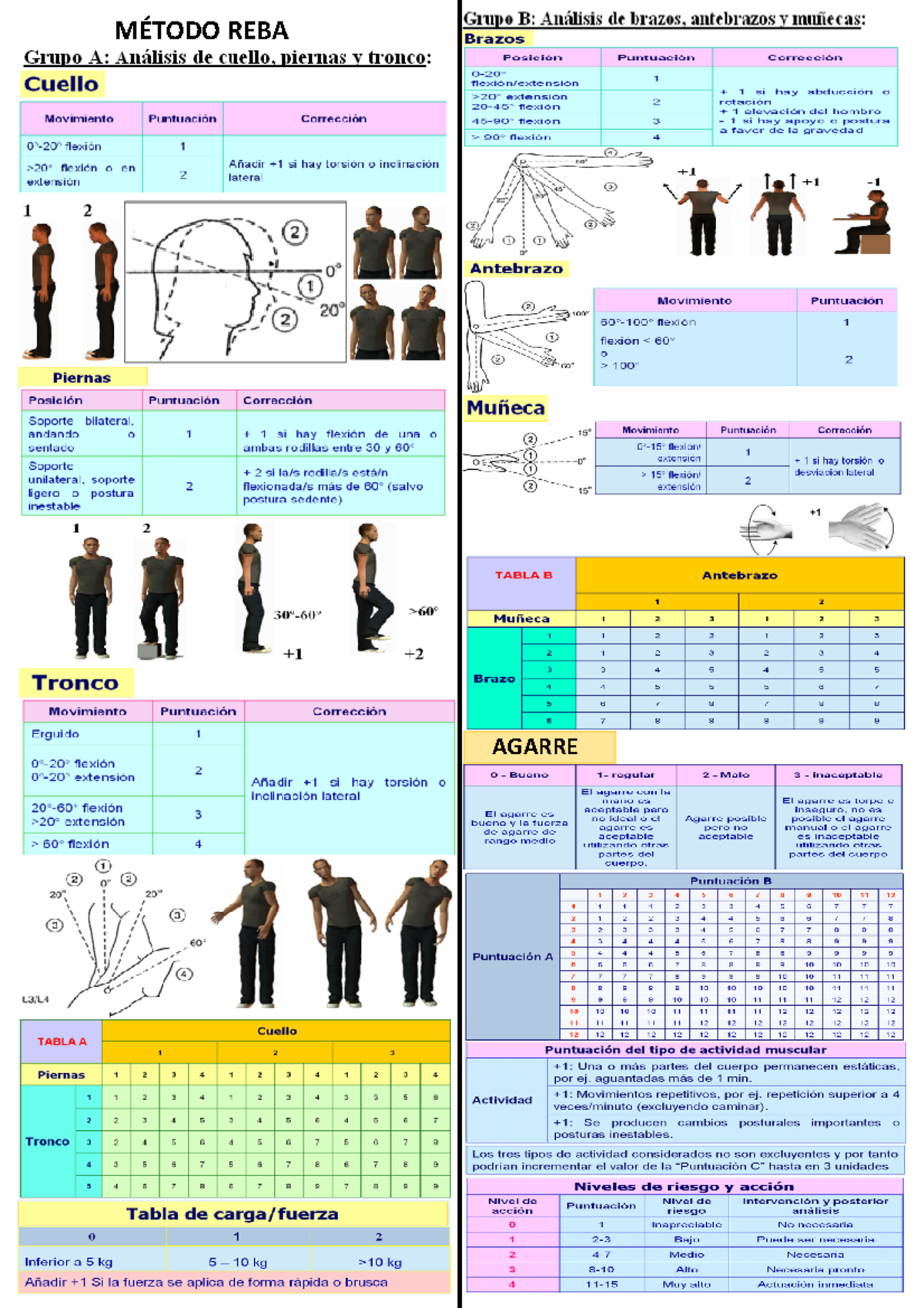 Metodo REBA - Método REBA - Ergonomía y Estudio del Trabajo - AGARRE ...