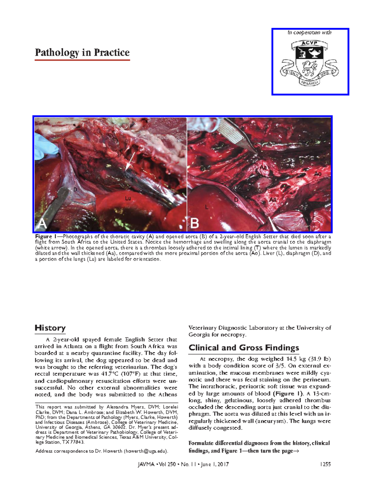 1-javma.250.11.1255-aneurysm by spirocerca lupi - JAVMA • Vol 250 • No ...