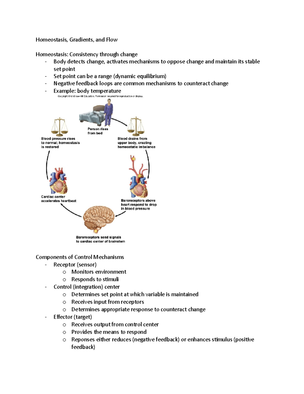Homeostasis, Gradients, Flow - Homeostasis, Gradients, and Flow ...