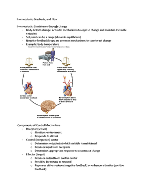 Histology - BIOL201 - L I Anatomy & - Studocu