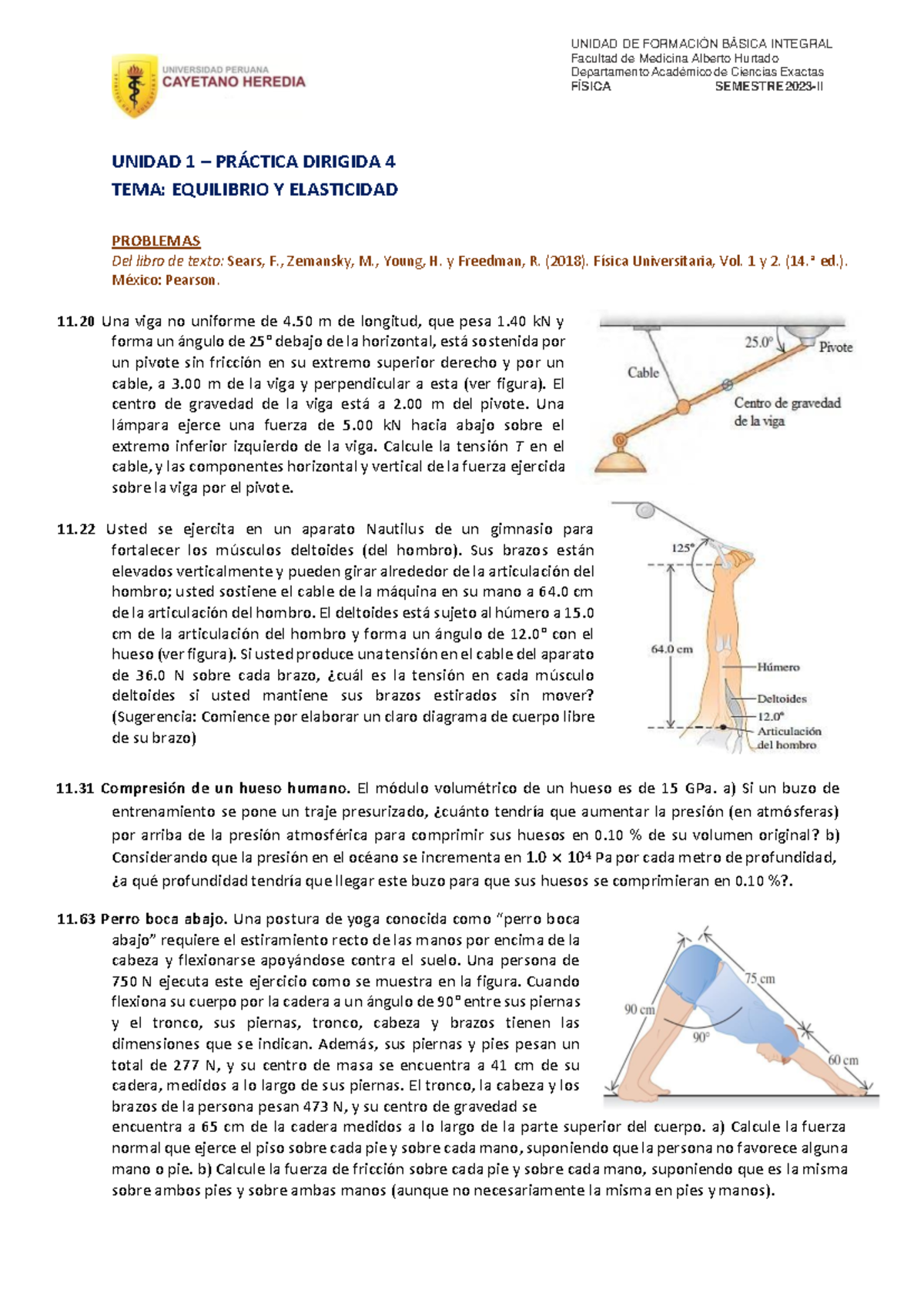 Fisica PC4 Condiciones de Equilibrio y Elasticidad 2023-II - UNIDAD 1 – PR¡CTICA DIRIGIDA 4 TEMA ...