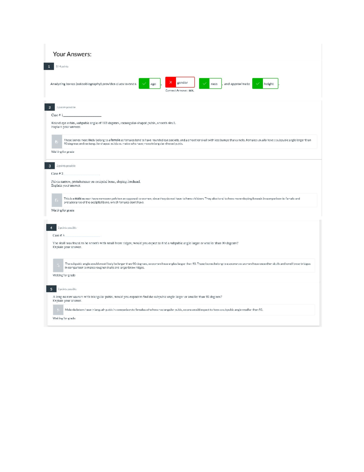 Untitled document - hshsu - Studocu