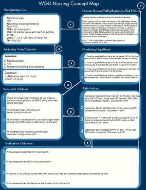 Obconceptmap - OB concept map example women & chidlren - D446 - Disease ...