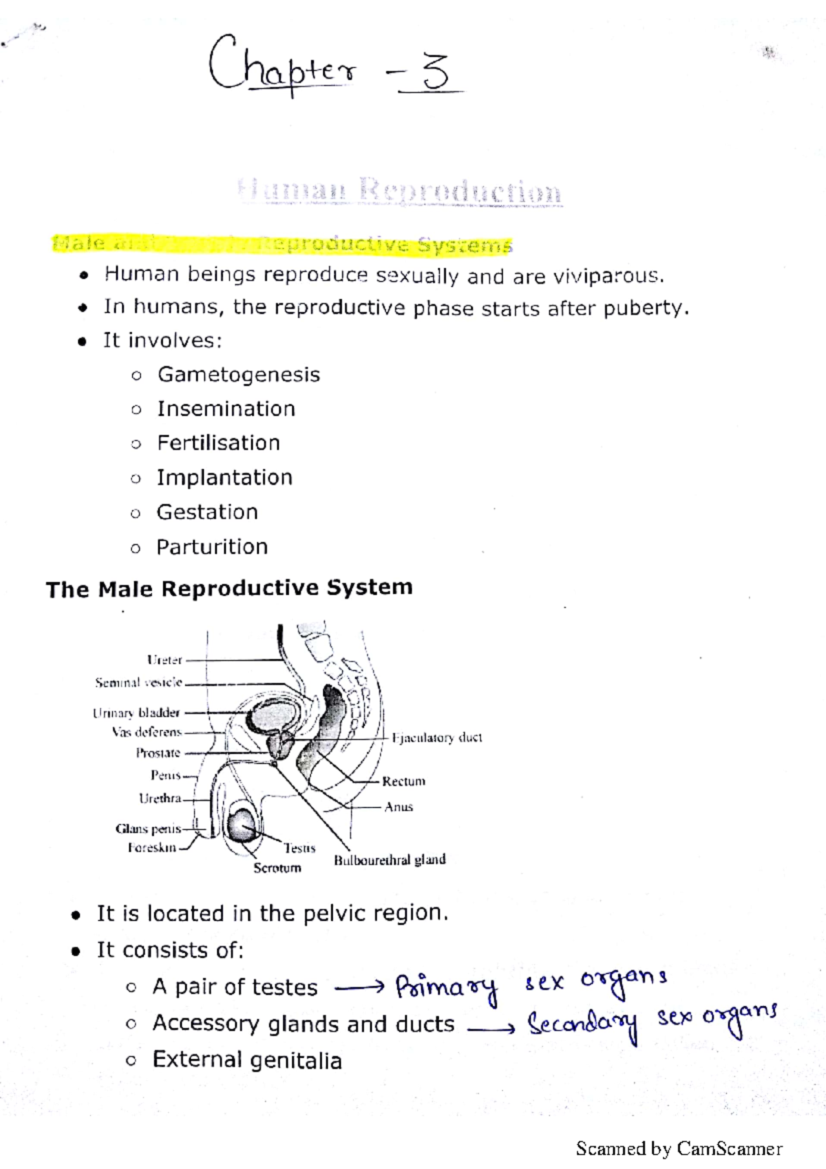 Chaptter 3 - these are biology notes taken during class - Conservation ...