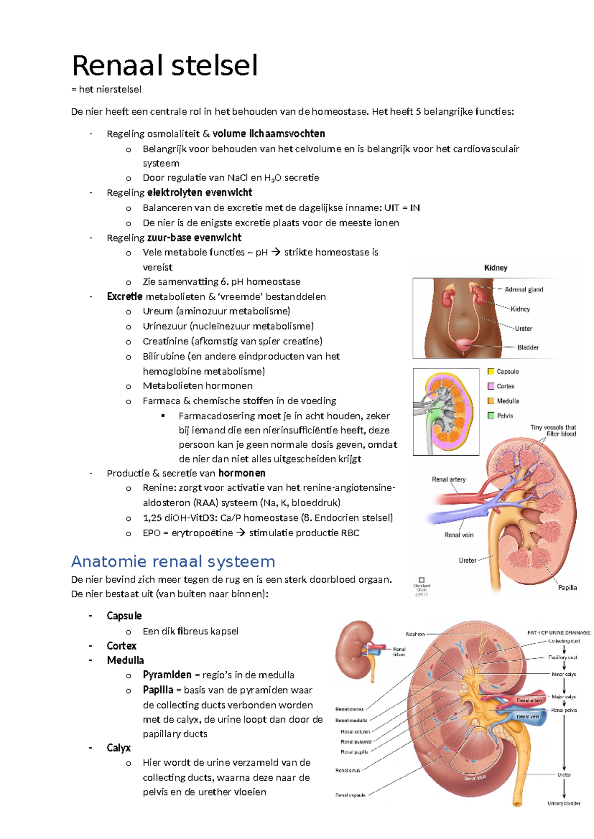 5. Renaal stelsel - Hoop dat het duidelijk is - Renaal stelsel = het ...