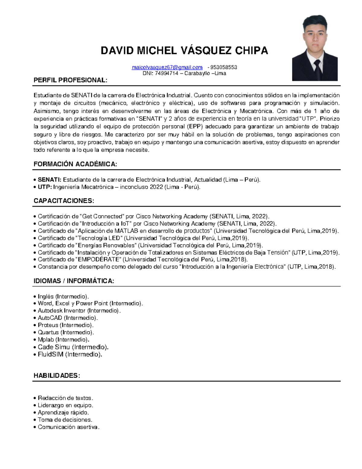 CV David Actualizado - sdfdsfds - DAVID MICHEL VÁSQUEZ CHIPA ...