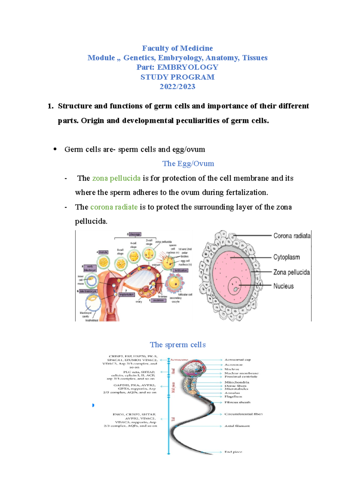 Embryology - medical emryology - Faculty of Medicine Module „ Genetics ...