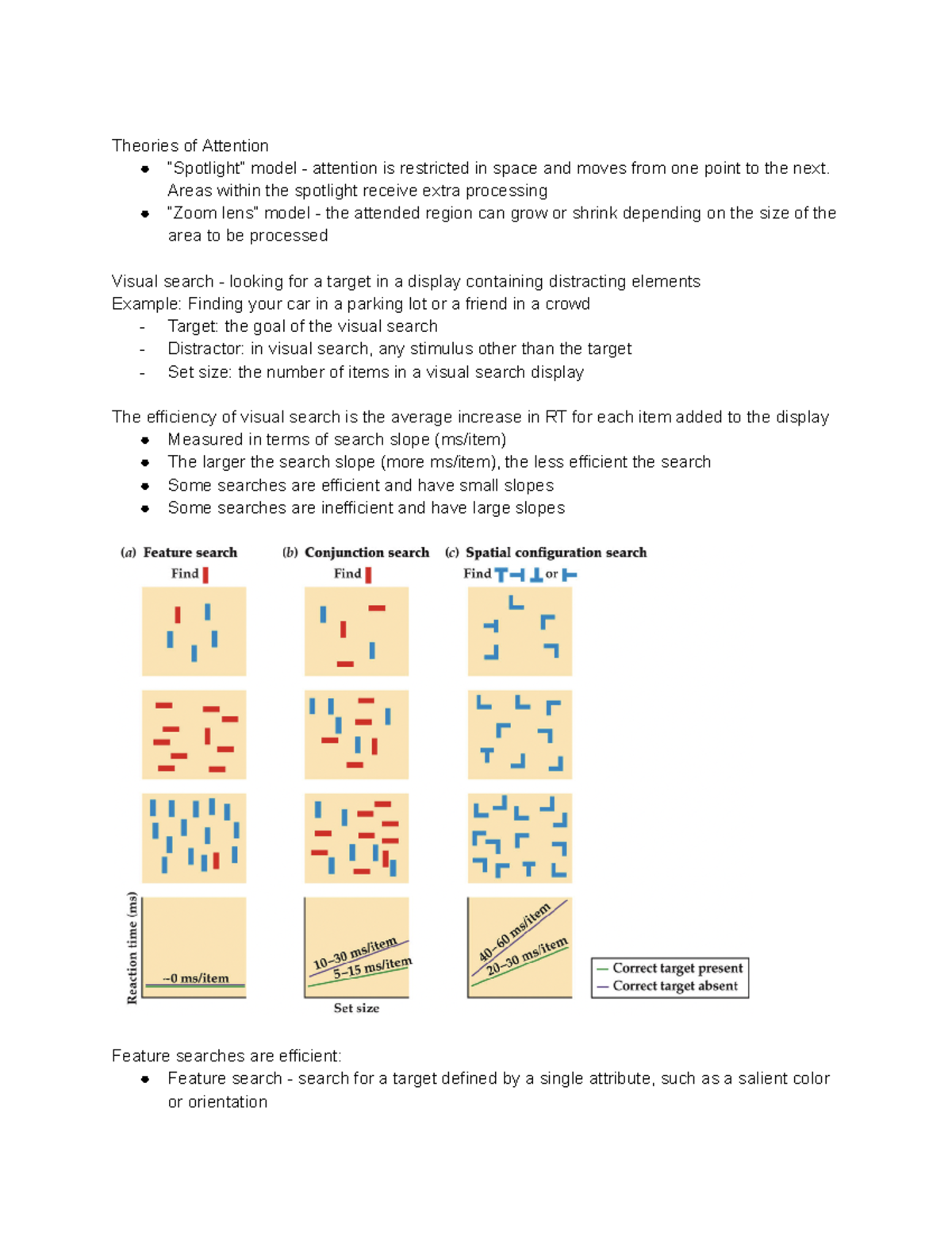 Sensation and Perception Exam 4 Study Guide Part #4 - Theories of ...