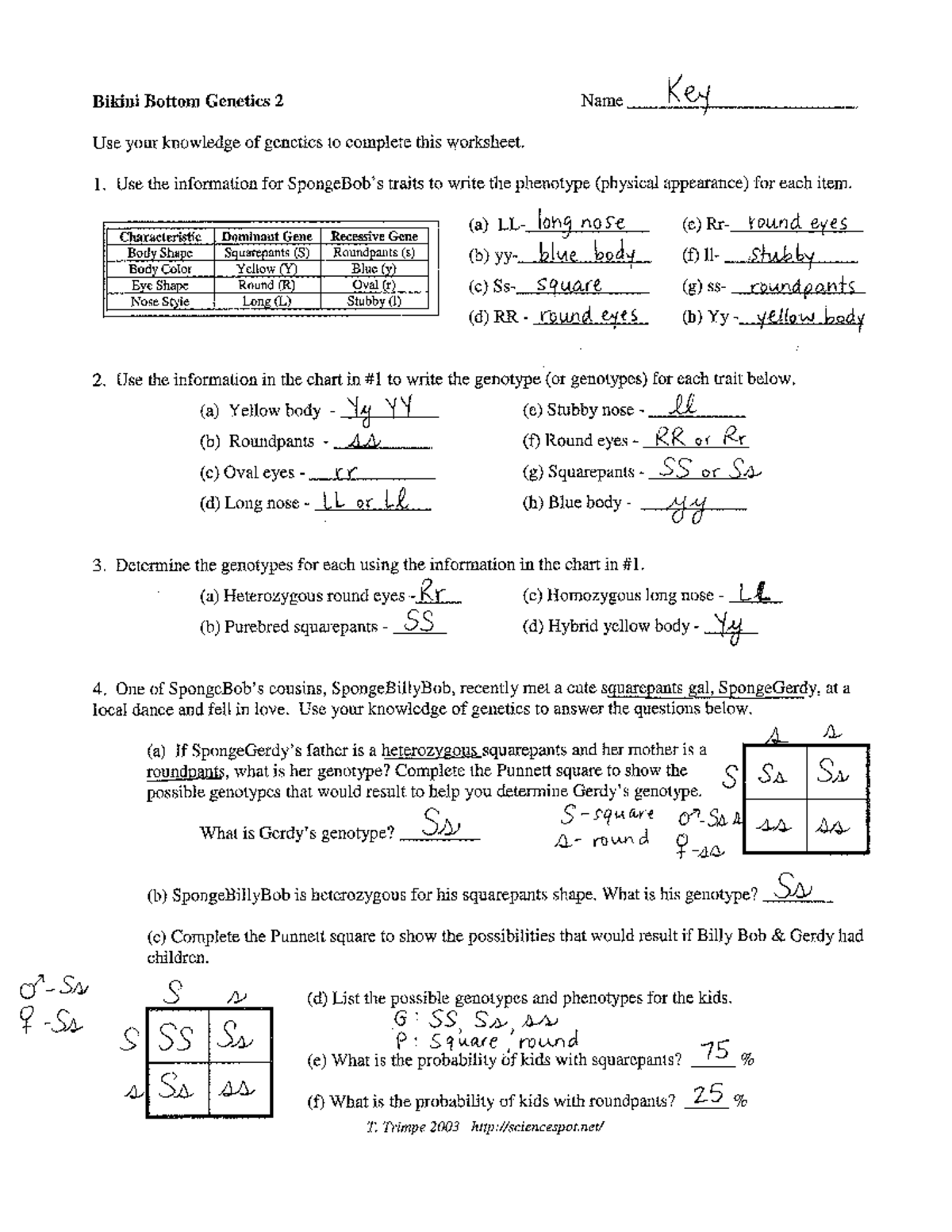 Sponge Bob Genetics 2 answers - Bikini Bottom Genetics 2 Name Key Use your knowledge of genetics ...