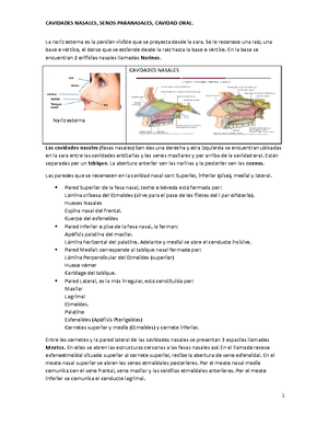 Intro Lab Chart 8 Student Protocol - ठ⃚ ठ⃚ INTRODUCTION TO LABCHART 8 ...