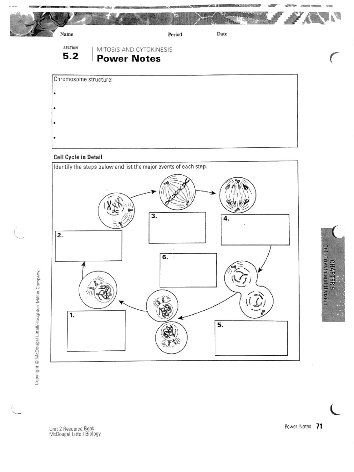 5.2 Mitosis and Cytokinesis Notes - Studocu