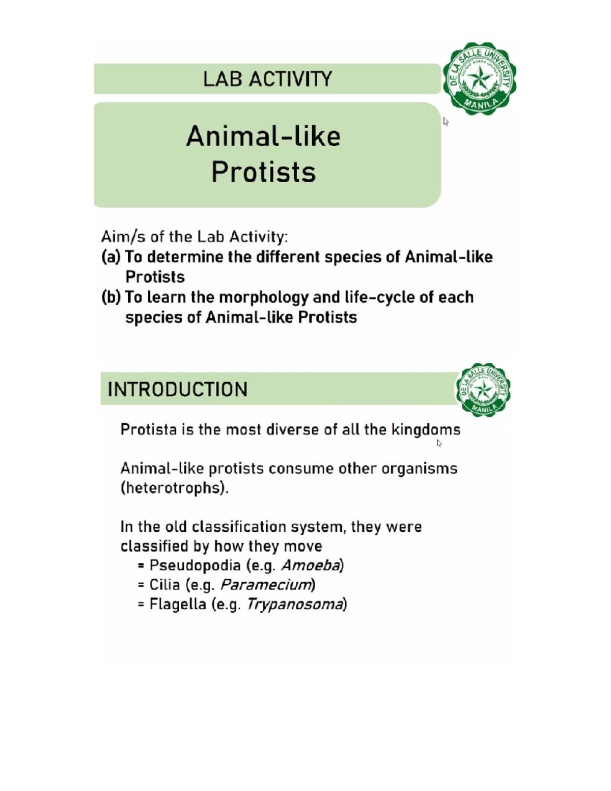 Protists-PPT - Protist Powerpoint - Lab Zoology - Studocu