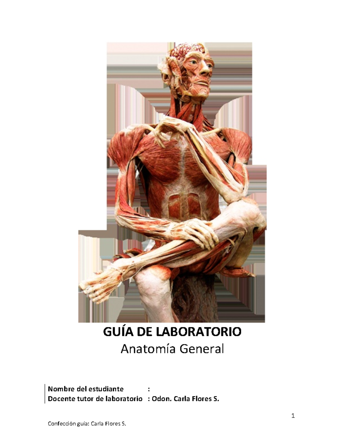 Guía 1 - Lab teorico - 1 GUÍA DE LABORATORIO Anatomía General Nombre ...