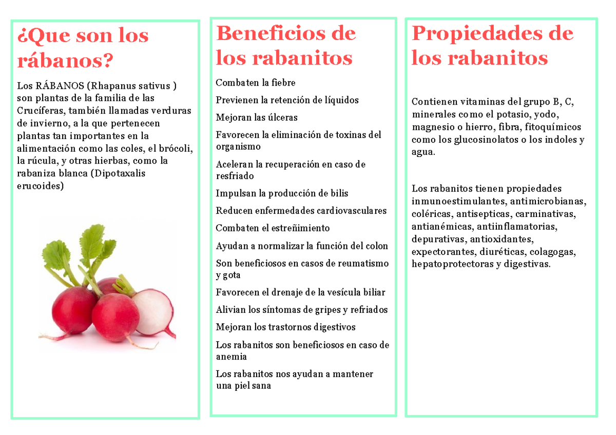 El rabanito - ejercicios d erabaf - Beneficios de los rabanitos ...