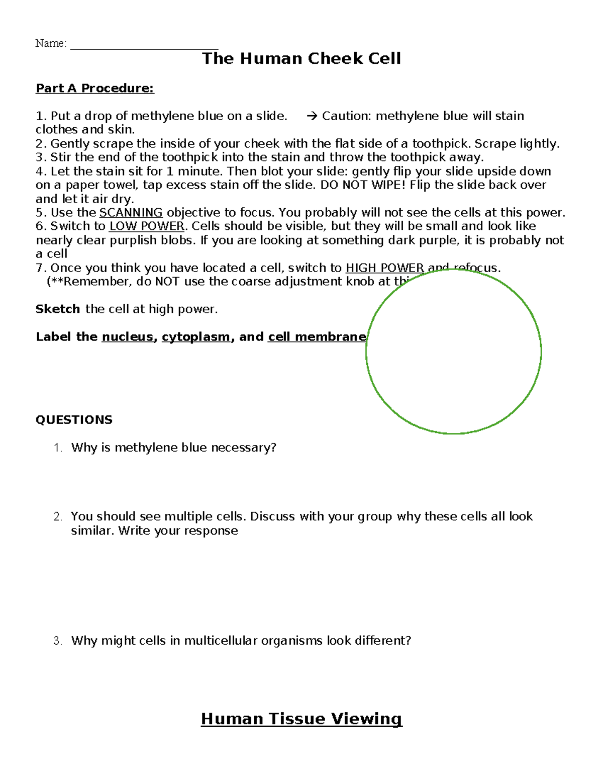 Cheek cell and Tissue Lab - Name: _________________________ The Human ...