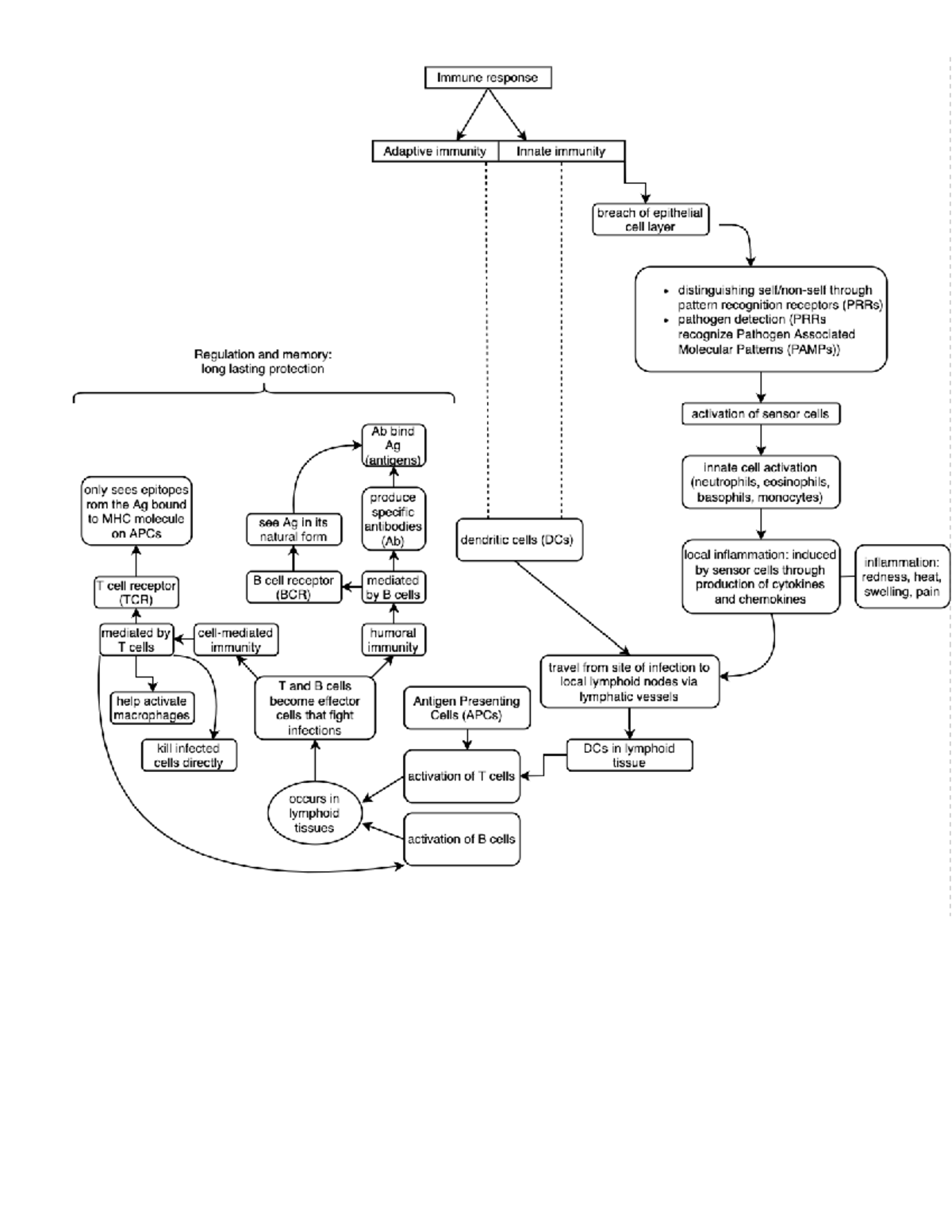 Immune response concept map - Mimm 214 - StuDocu