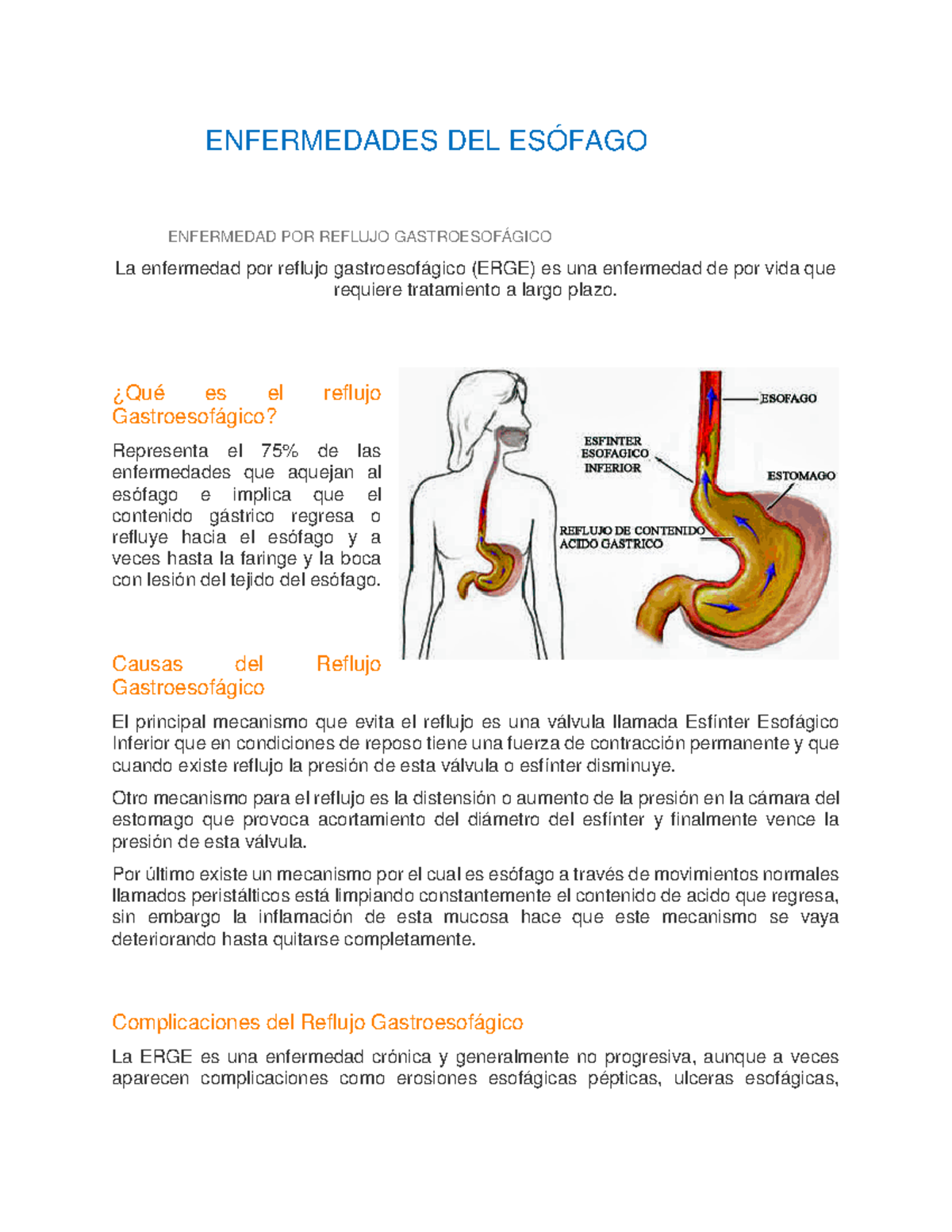 Enfermedades Del Esófago: Qué Es, Síntomas Y Tratamiento – AAHOXN