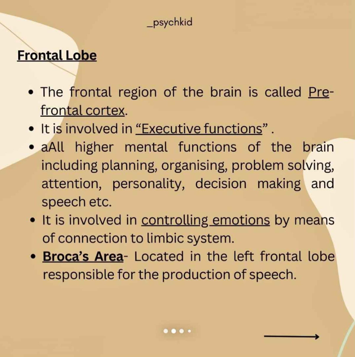 Brain (4 lobes) - _psychkid Frontal Lobe The frontal region of the ...
