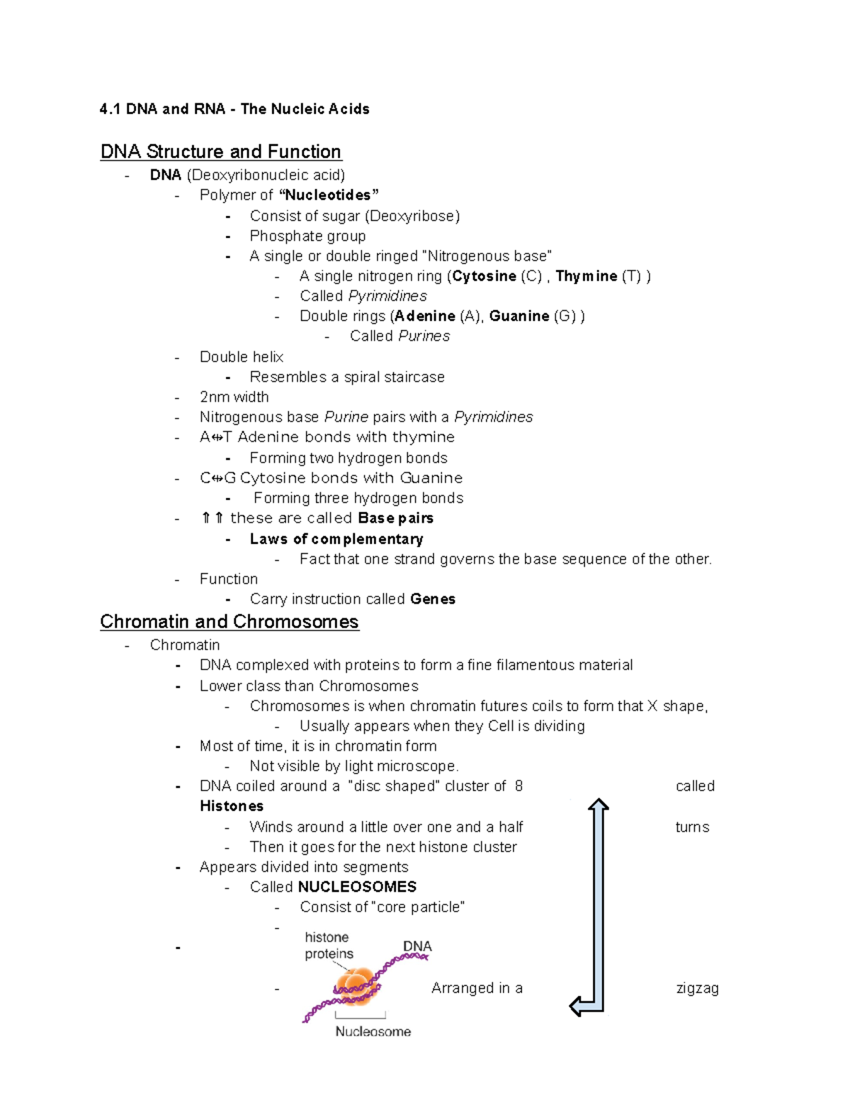 Chapter 4 - Outline - 4 DNA and RNA - The Nucleic Acids DNA Structure ...