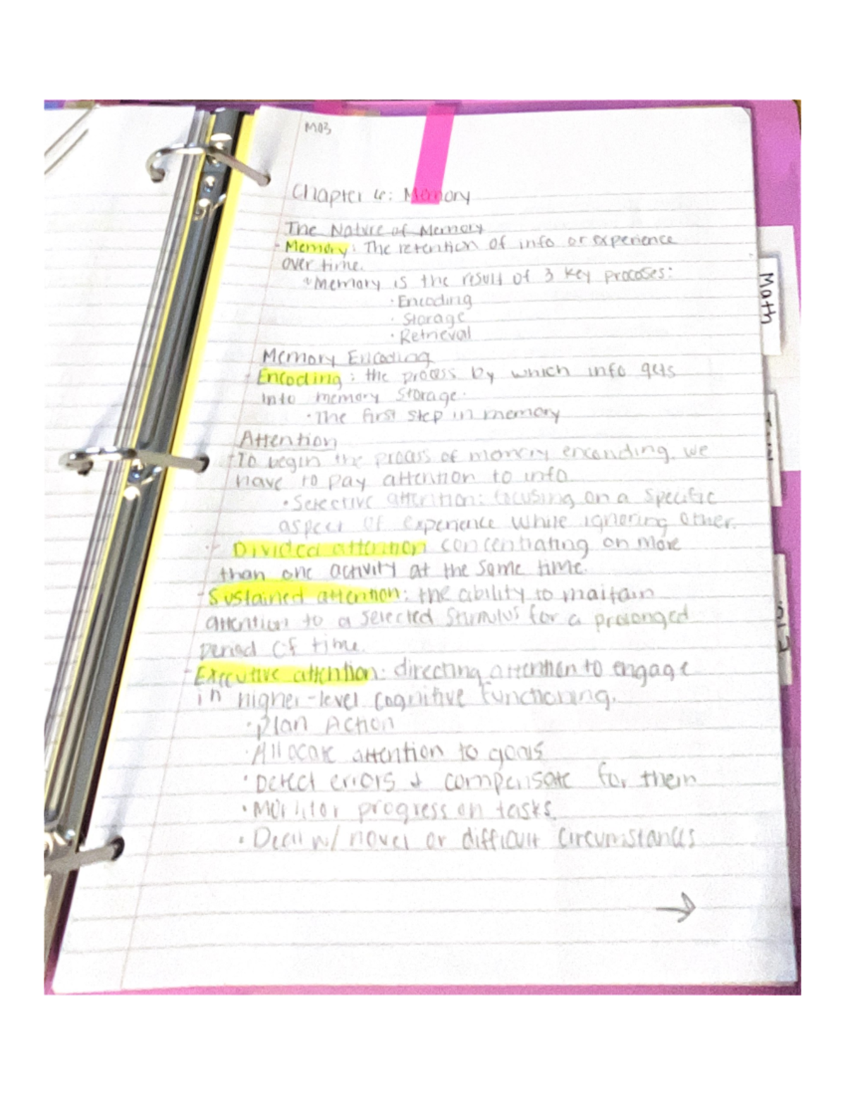 Psych Chapter 6 - PSYC 101 - Studocu