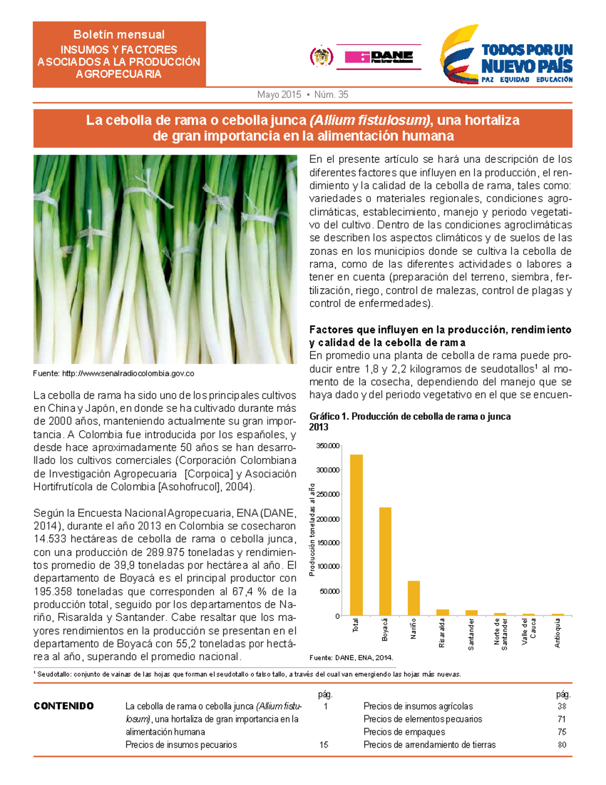 Bol Insumos may 2015 - CONTENIDO La cebolla de rama o cebolla junca ...